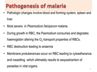 Malaria a serious public health problem | PPTX