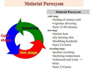 Malaria a serious public health problem | PPTX