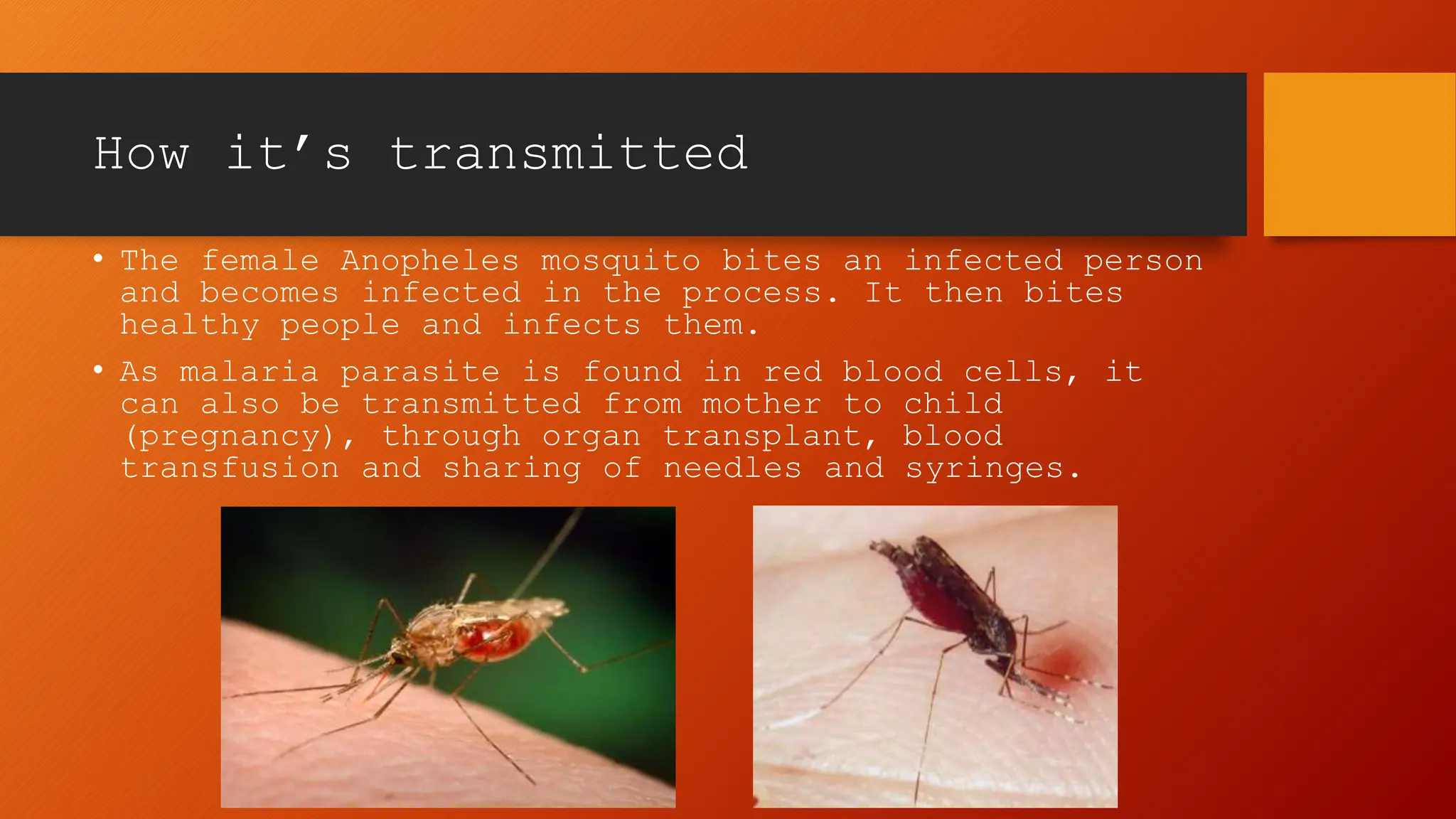 Malaria PowerPoint Presentation by Jarib Ali.pptx