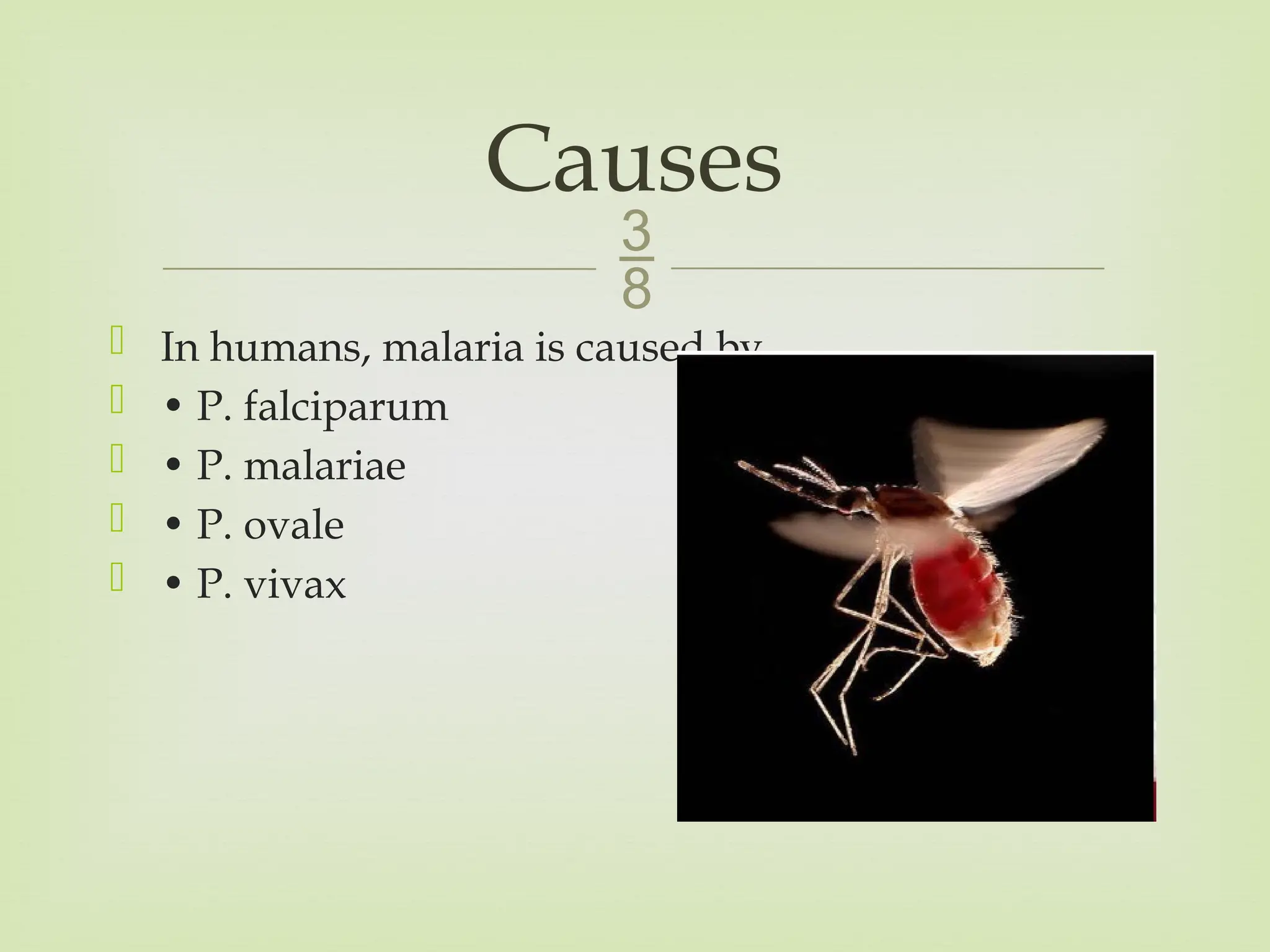 MALARIA by bs nursing community health.pptx