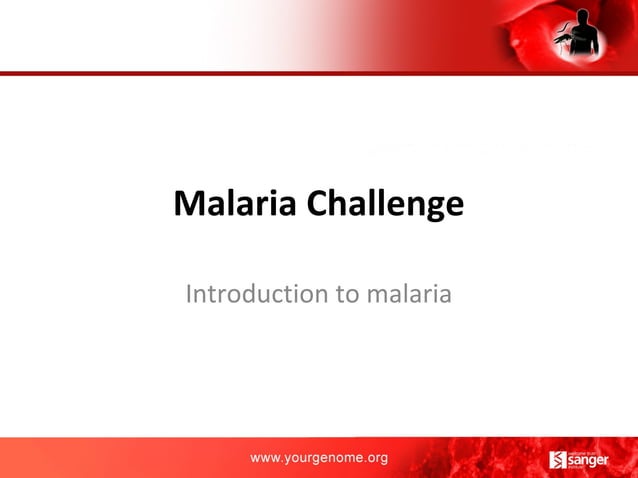 Malaria presentation | PPT