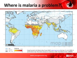 Malaria presentation | PPT