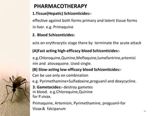 Malaria classification and treatment | PPTX
