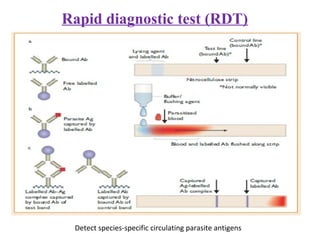 Malaria diagnosis methods | PPT