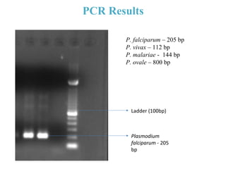Malaria diagnosis methods | PPT