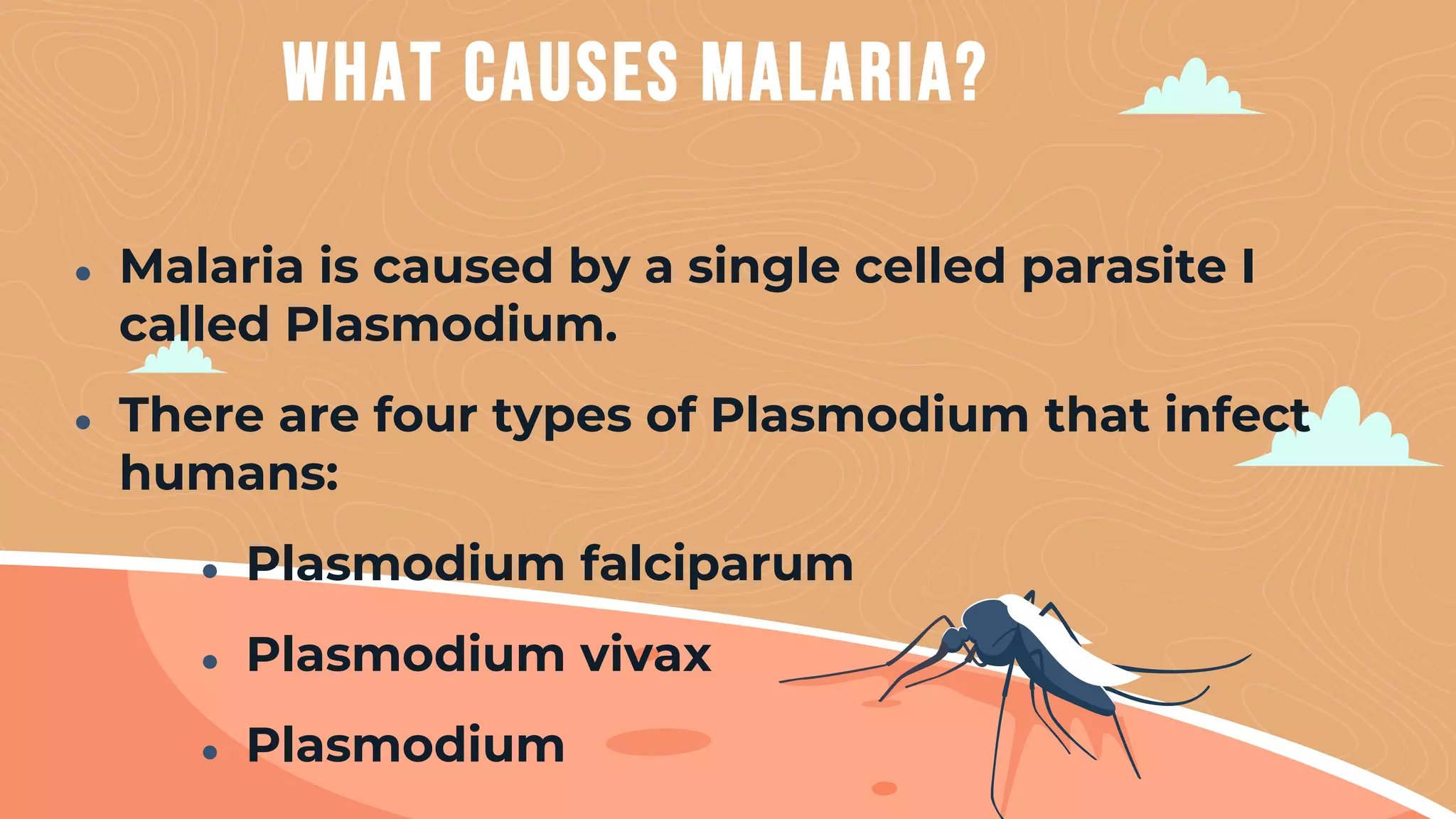Malaria disease epidemiology person, place, time graph | PPTX
