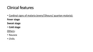 Malariae malaria | PPTX