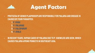 Malaria epidemiology . | PPTX | Infectious Diseases | Diseases and ...