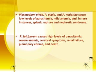 Malaria final | PPT