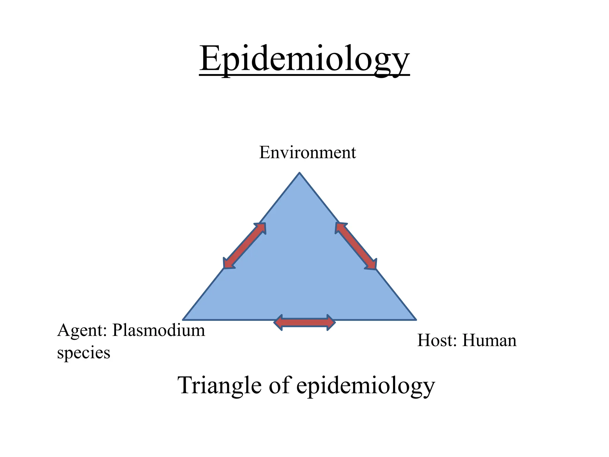 Malaria vector and management final.pptx