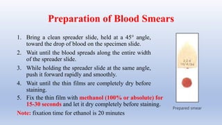 Malaria Identification in Laboratory.pptx