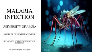 MALARIA INFECTION new powerpoint presentation | PPTX | Infectious ...
