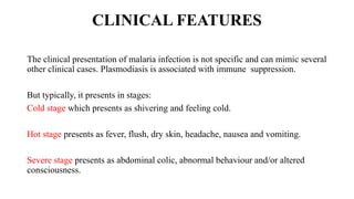 MALARIA INFECTION new powerpoint presentation | PPTX