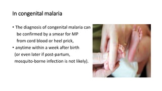 Malaria in pregnancy | PPTX