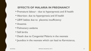 Comprehensive Overview of Malaria in Pregnancy: Definition ...