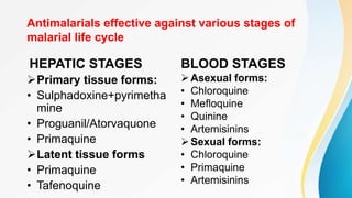 Antimalarial agents according to WHO guidelines | PPTX