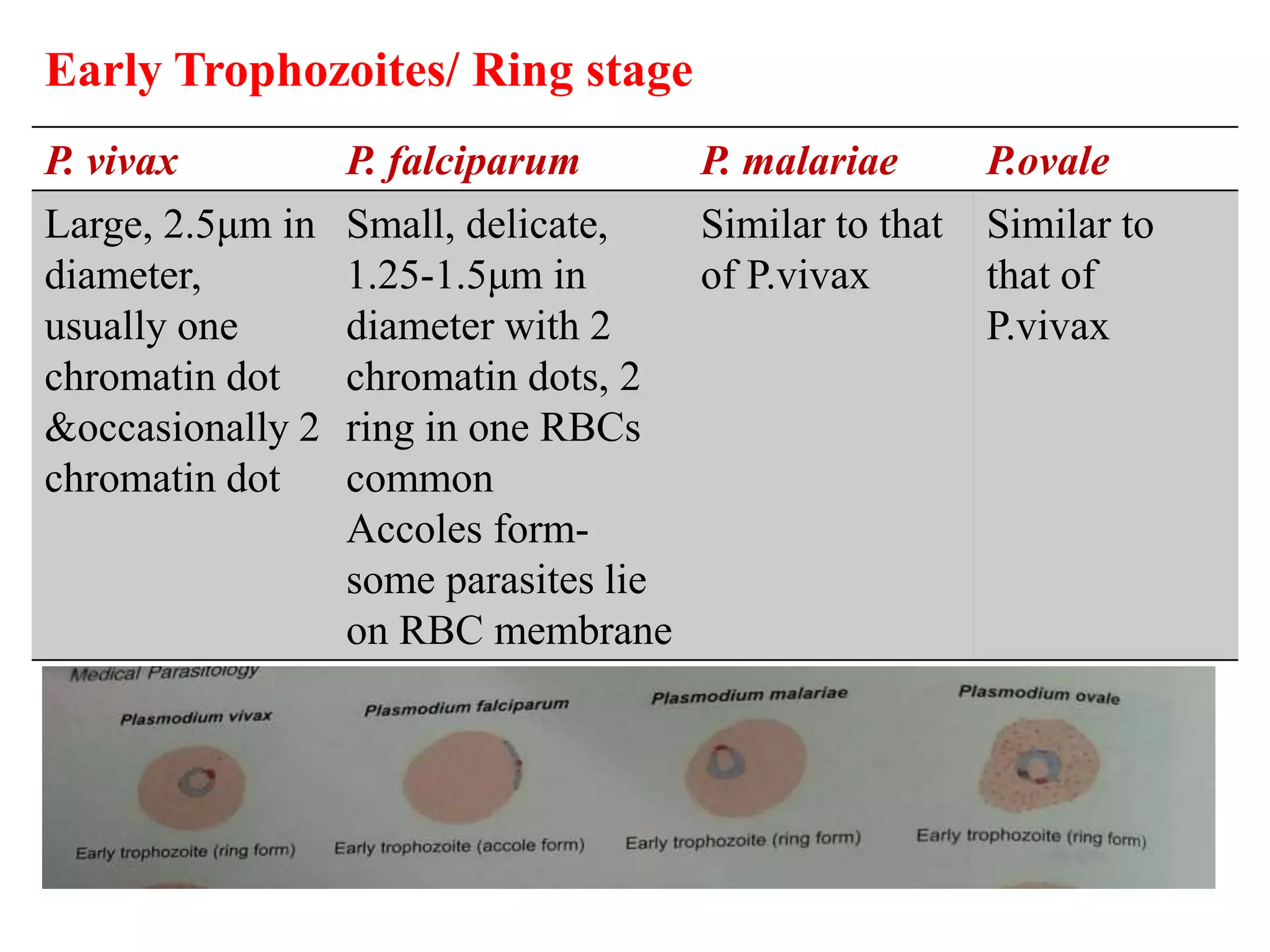 Malaria lab diagnosis | PPTX
