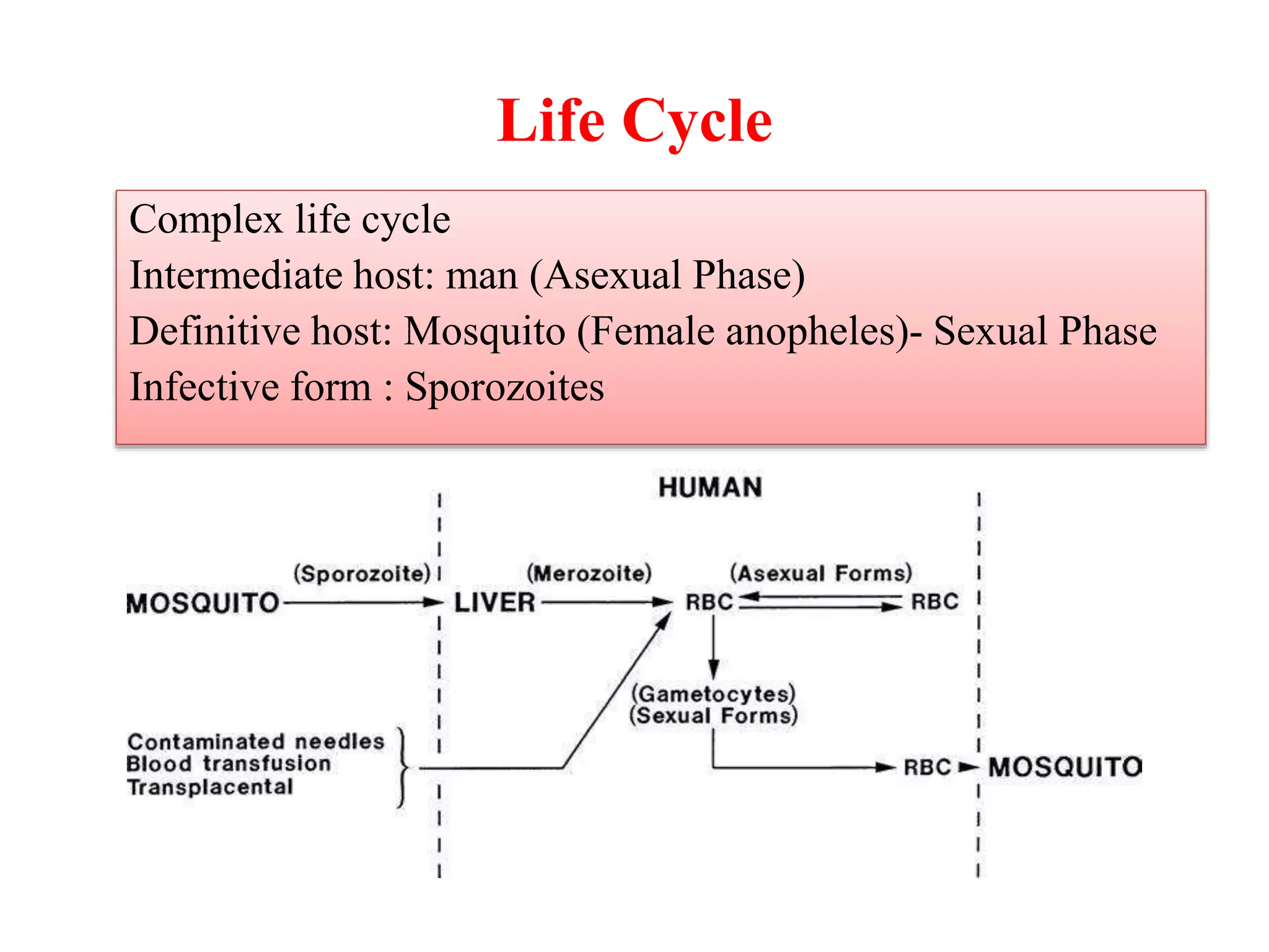 Malaria lab diagnosis | PPTX