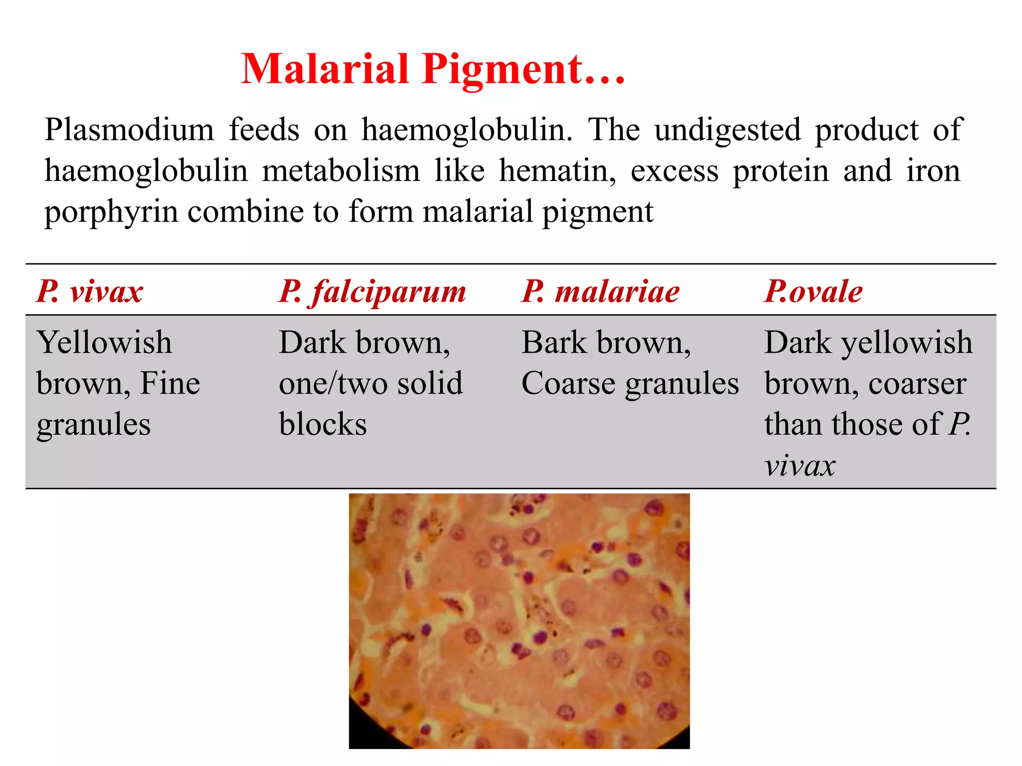 Malaria lab diagnosis | PPTX
