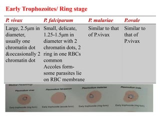Malaria lab diagnosis | PPTX