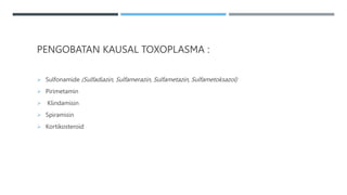 Malaria, Leptospirosis, dan Toxoplasma.pptx