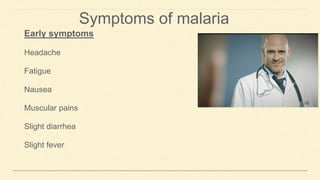 malaria lifecycl explaining life cycle of malaria | PPTX