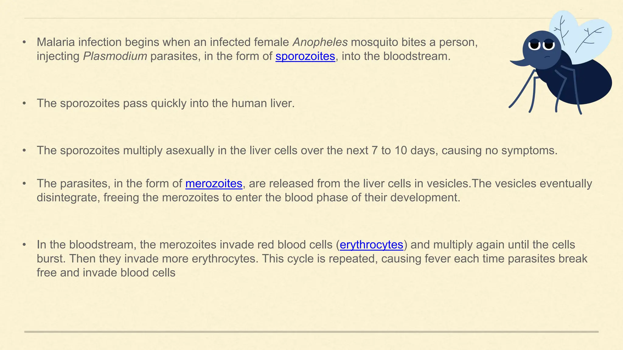 malaria lifecycle is life f malaria in a cycle | PPTX