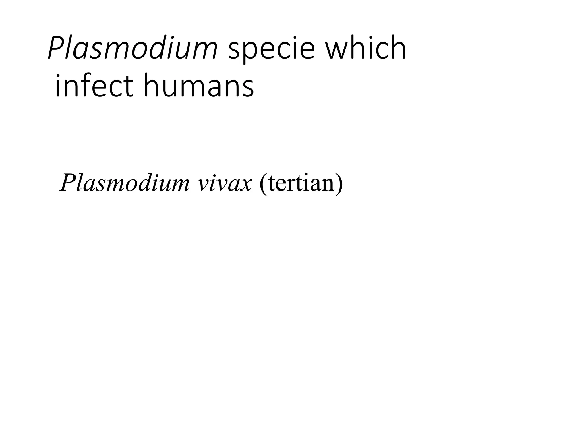MALARIA LIFE CYCLE (Plasmodium Vivax Lifecycle) | PPT