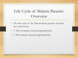 Malaria_Life_Cycle_Presentation_Upd].pptx