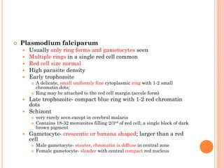 Malarial parasite major focus on hemoparasites which are common.ppt.pdf