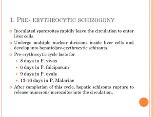 Malarial parasite major focus on hemoparasites which are common.ppt.pdf
