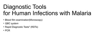 Malarial Parasite with causes and treatment | PPTX
