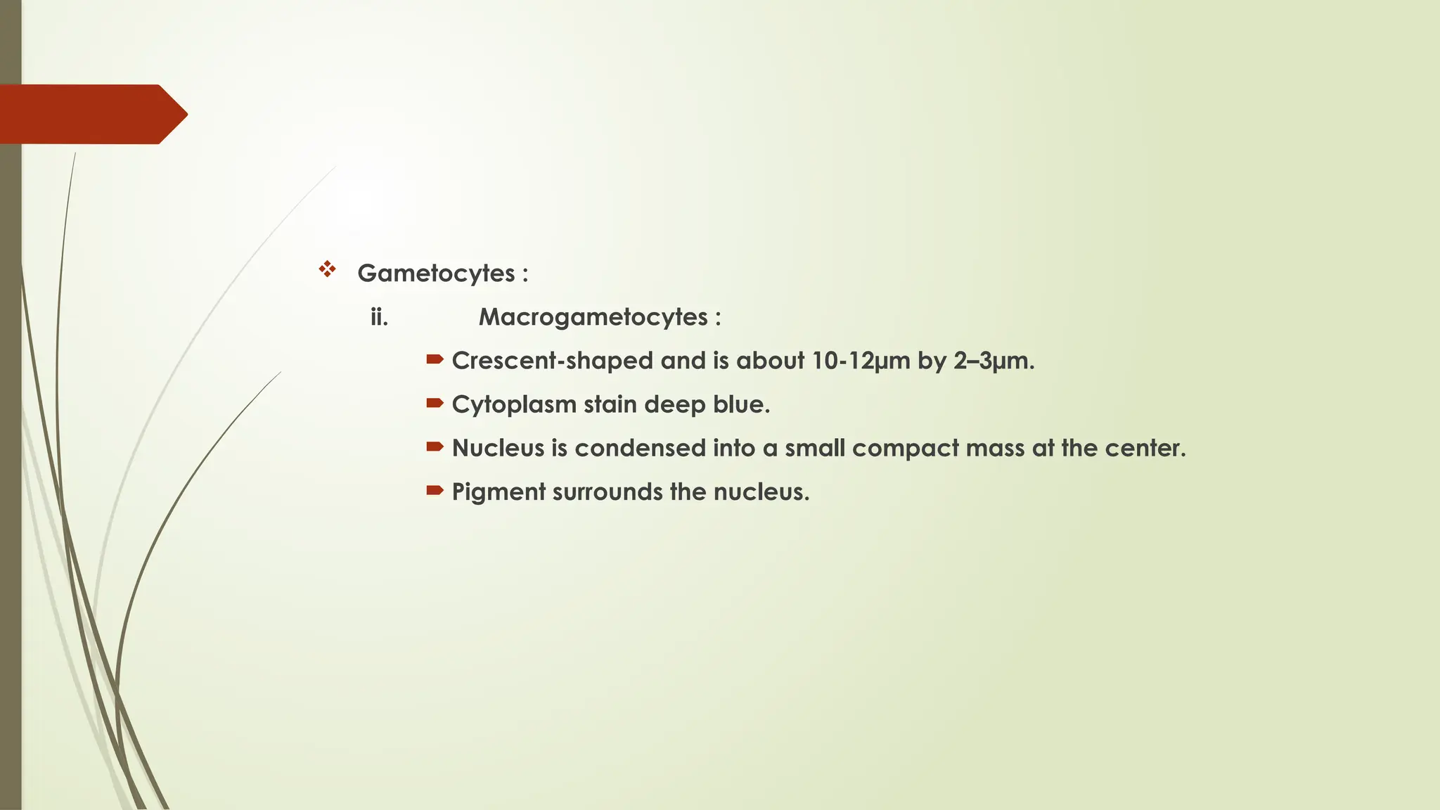 MALARIAL PARASITE PRESENTATION pptx.pptx