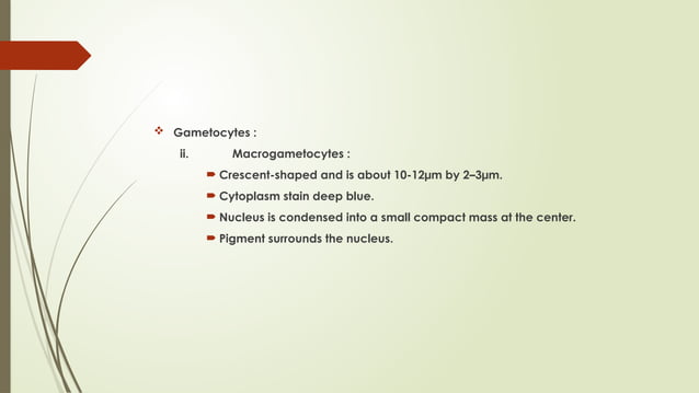 MALARIAL PARASITE PRESENTATION pptx.pptx