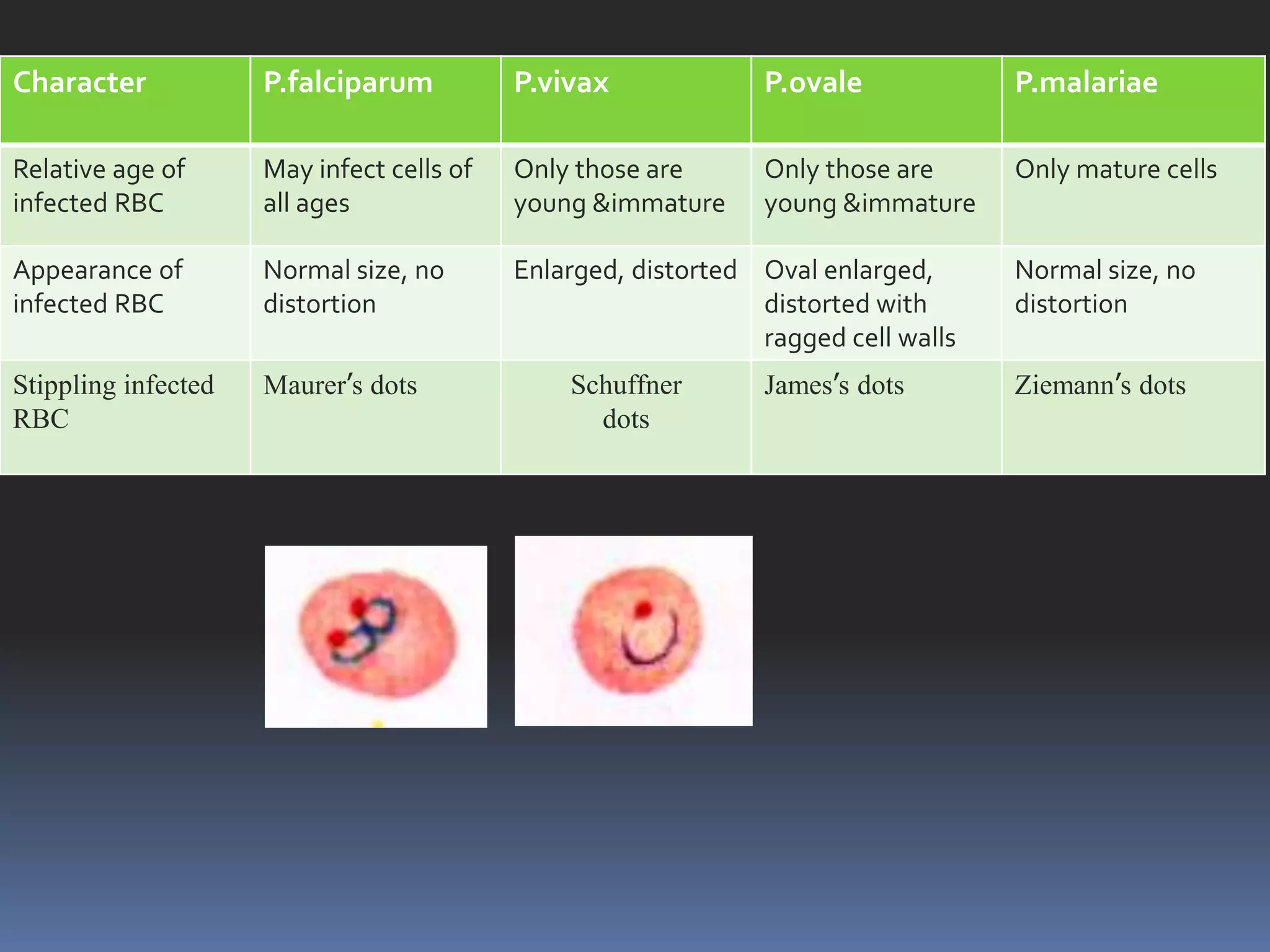 Malaria main | PPTX