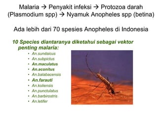 Malaria Morfology_Nov_2010.ppt