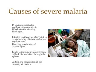 malaria cause by protozoa microbiology. | PPTX