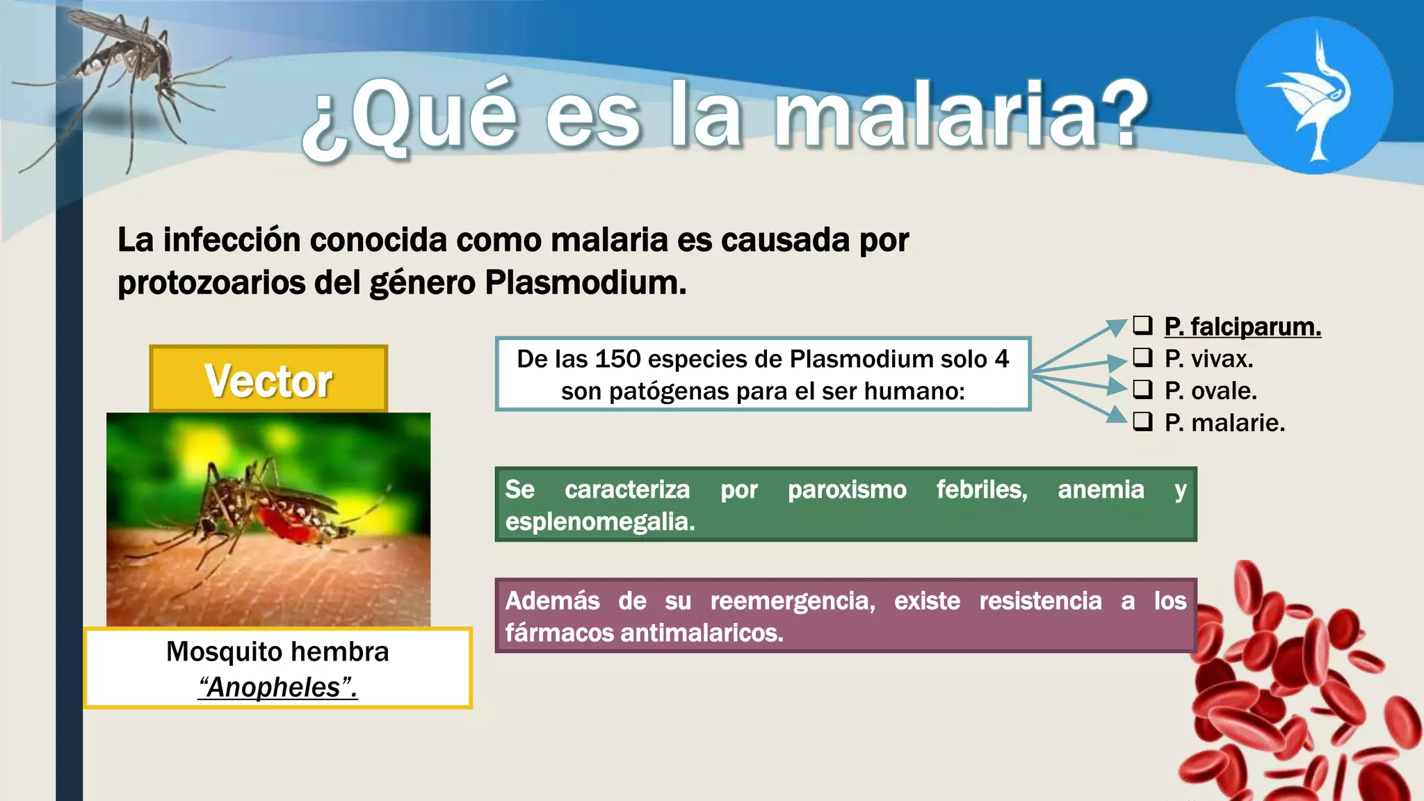 Malaria o paludismo | PPTX