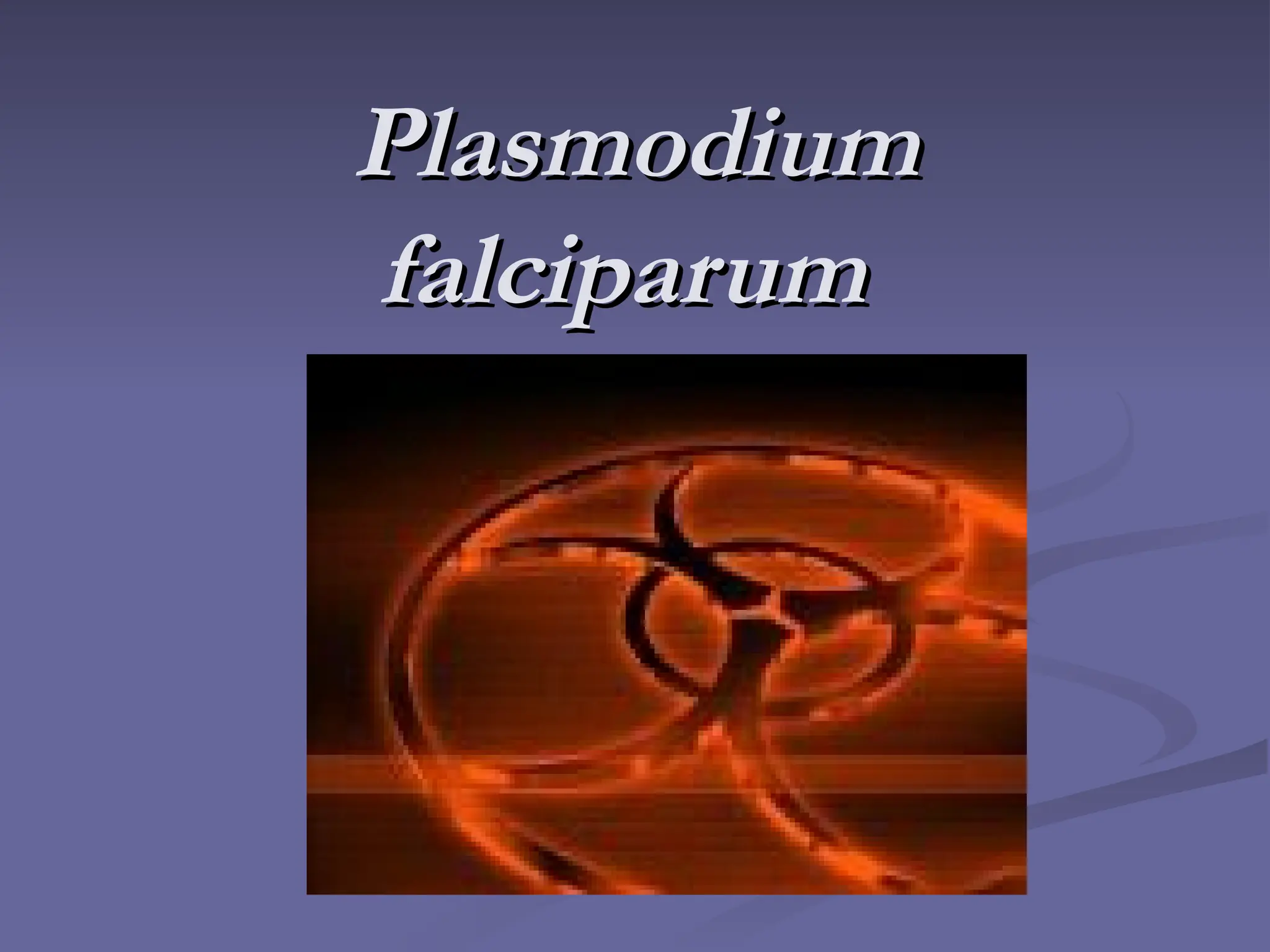 MARARIAL PARASITE PLASMODIUM FALCIPARUM LIFE CYCLE | PPT