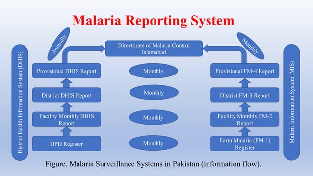 Malaria Parasite Identification & Reporting System.pptx | Blood ...