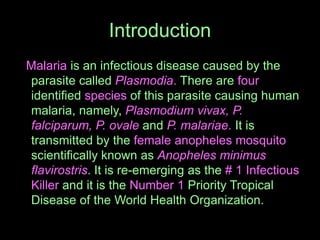 Malaria+parasites | PPT