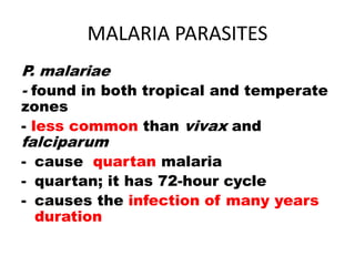 Malaria Parasites.pptx