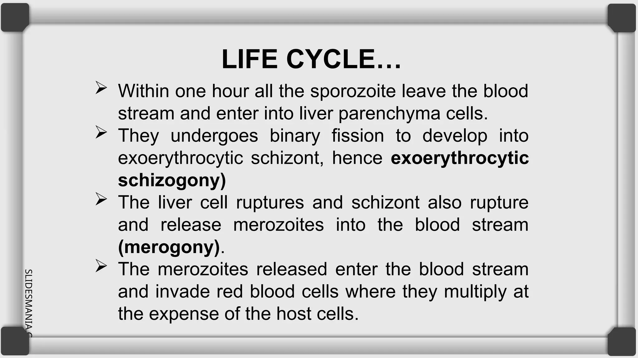 Malaria Parasite: Life Cycle, Transmission, and Control | PPTX