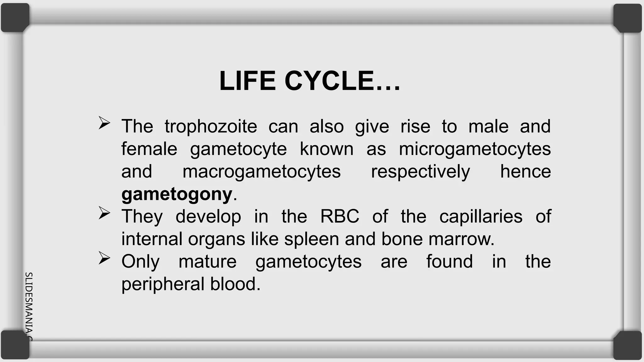 Malaria Parasite: Life Cycle, Transmission, and Control | PPTX