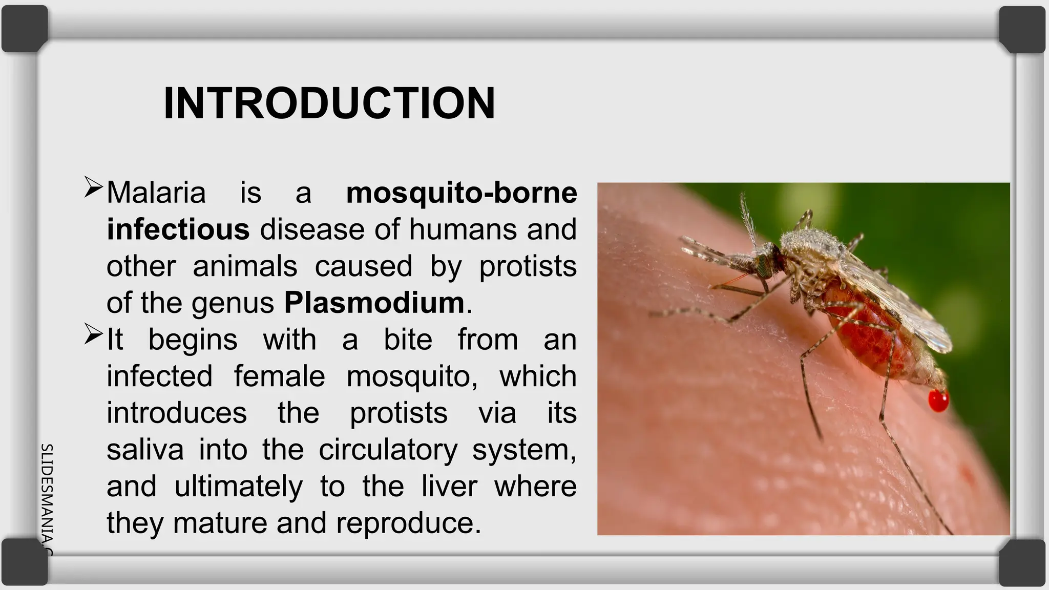 Malaria Parasite: Life Cycle, Transmission, and Control | PPTX