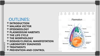 Malaria Parasite: Life Cycle, Transmission, and Control | PPTX