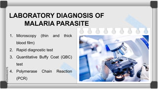 Malaria Parasite: Life Cycle, Transmission, and Control | PPTX