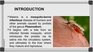 Malaria Parasite: Life Cycle, Transmission, and Control | PPTX