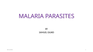 MALARIA PARASITES notes for lab students | PPTX