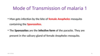 MALARIA PARASITES notes for lab students | PPTX
